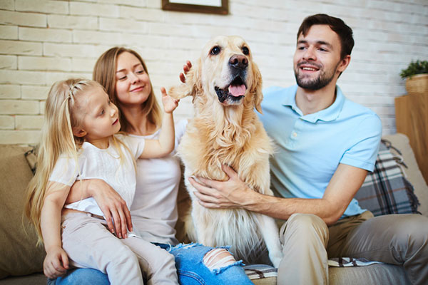 7 motivos por los que las mascotas son uno más de la familia ...